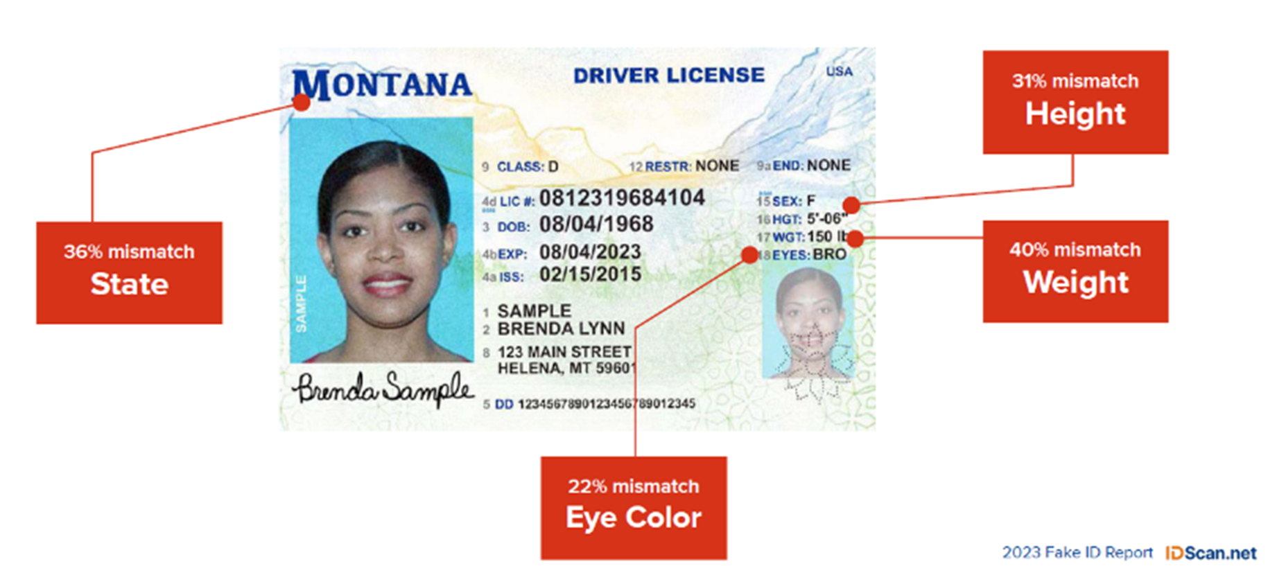 Fake IDs run rampant in the USA